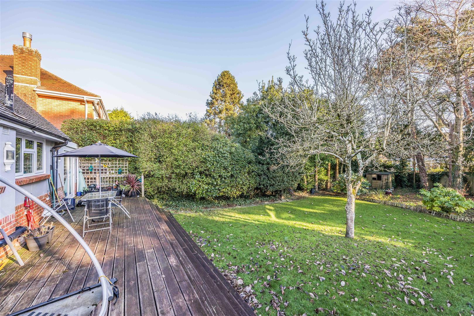 Talbot Woods, Bournemouth - Saxe Coburg